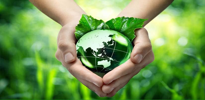Environmental monitoring - Aliment Lab