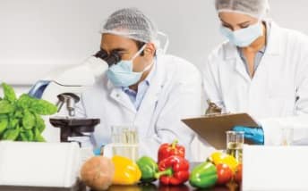 Food Analysis - Aliment Lab